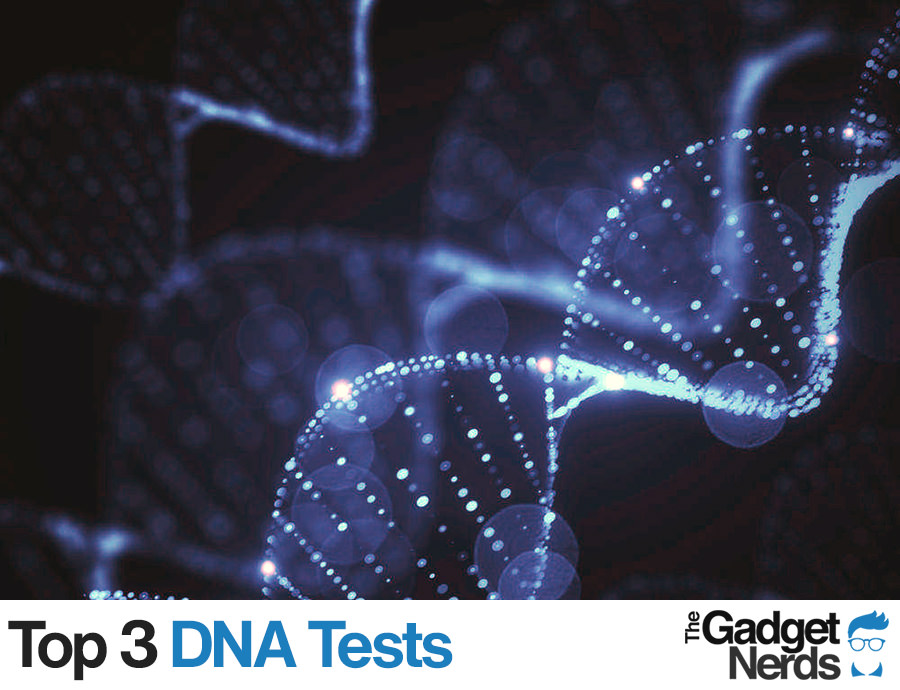 Best DNA Tests of the Year | Top 3 DNA Test Reviews