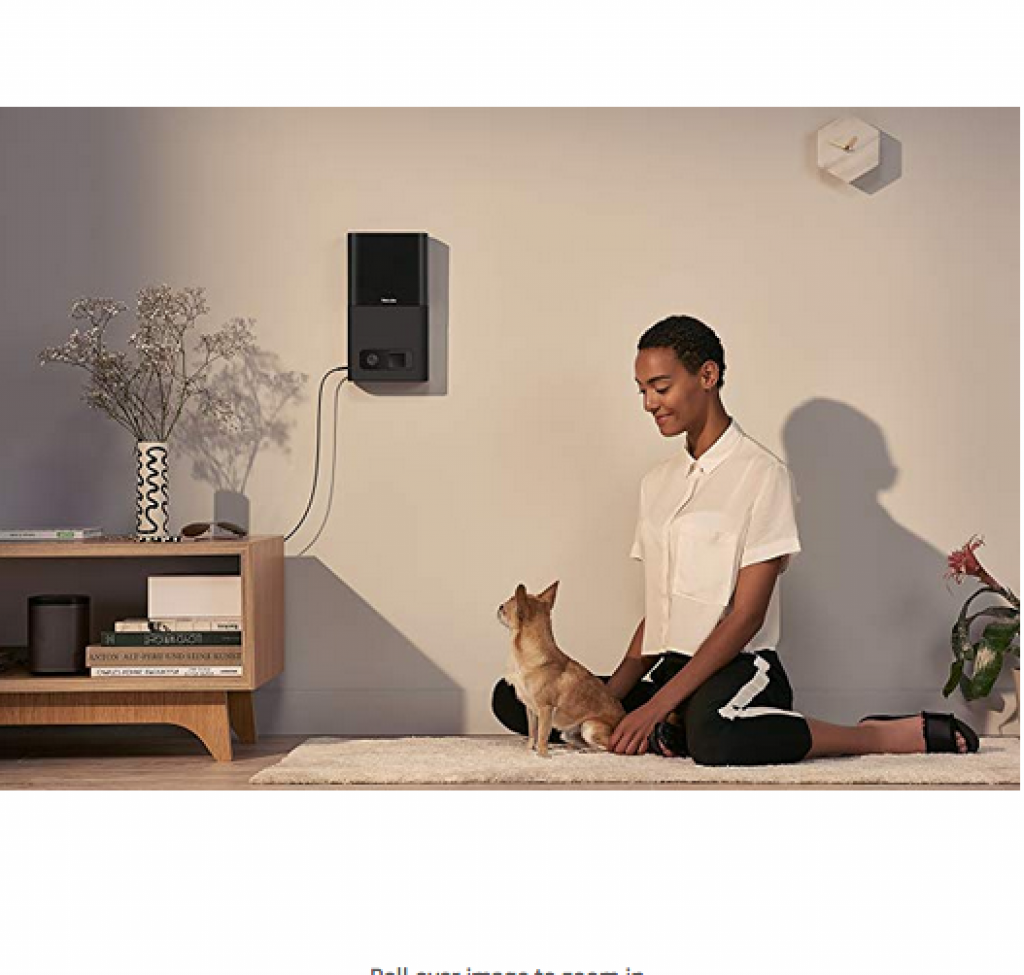 Best Pet Cameras of 2019 - Top 5 Pet Cameras Reviewed | TGN