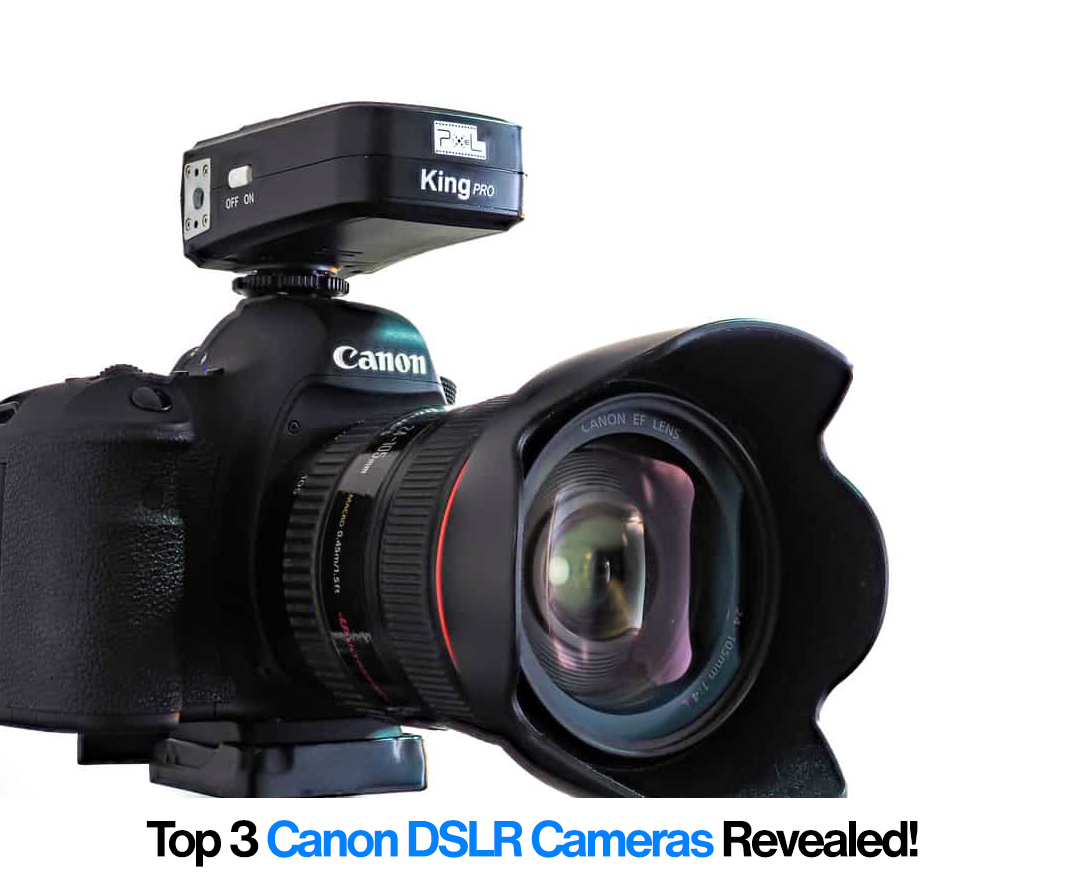 Canon DSLR Cameras | Highest Quality Cameras Of The Year